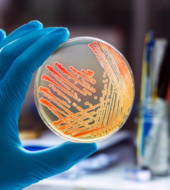 Home [vishnubiosciences.in]